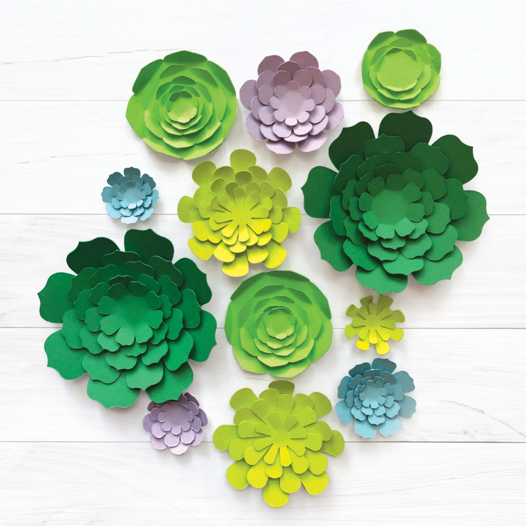 Paper Succulents SVG Pack | Paris Corporation