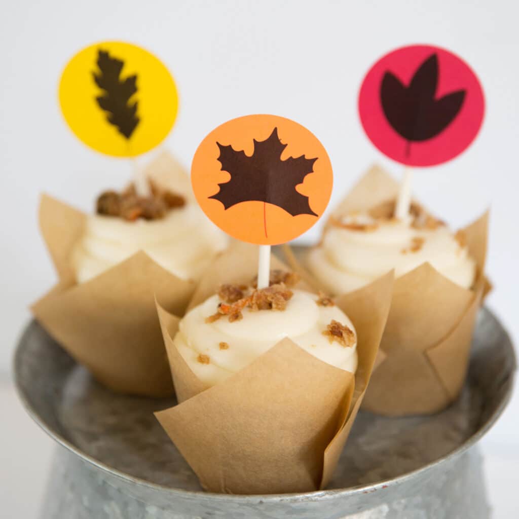 Autumn Cardstock by PrintWorks | Paris Corporation