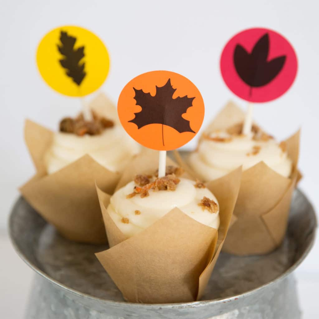 Autumn Cardstock by PrintWorks | Paris Corporation