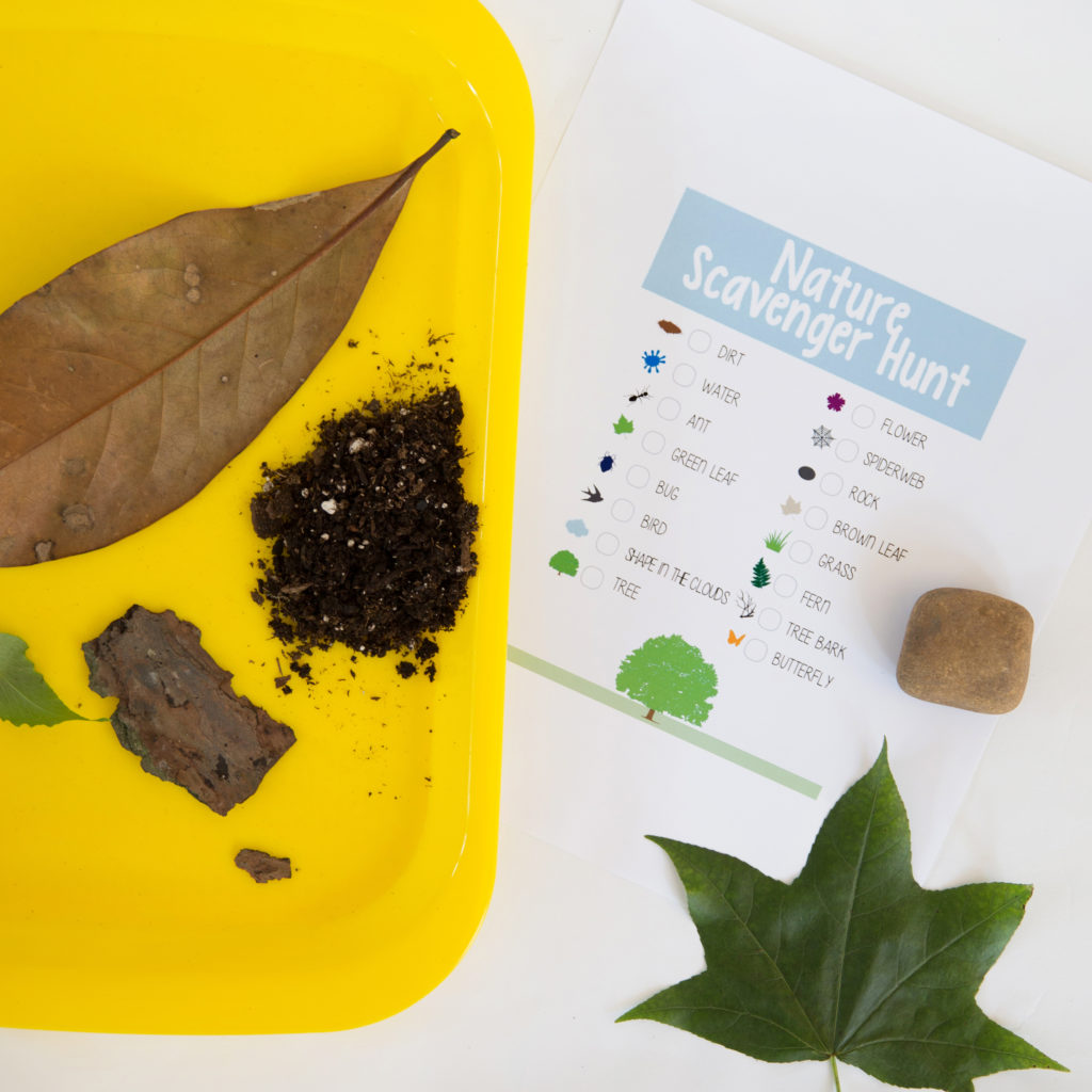 Elementree Sustainable Printer Paper | Paris Corporation