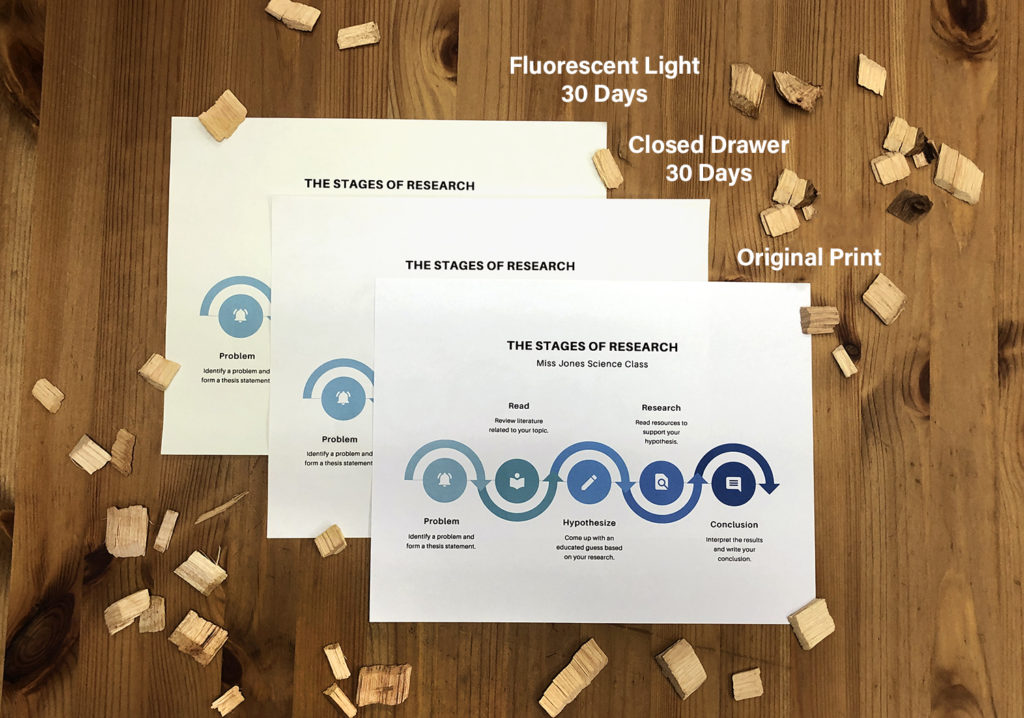 Elementree Printer Paper | A Sustainable, Affordable Printer Paper