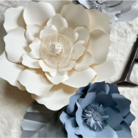 Interview with Arielle Elise Designs | Paris Corporation